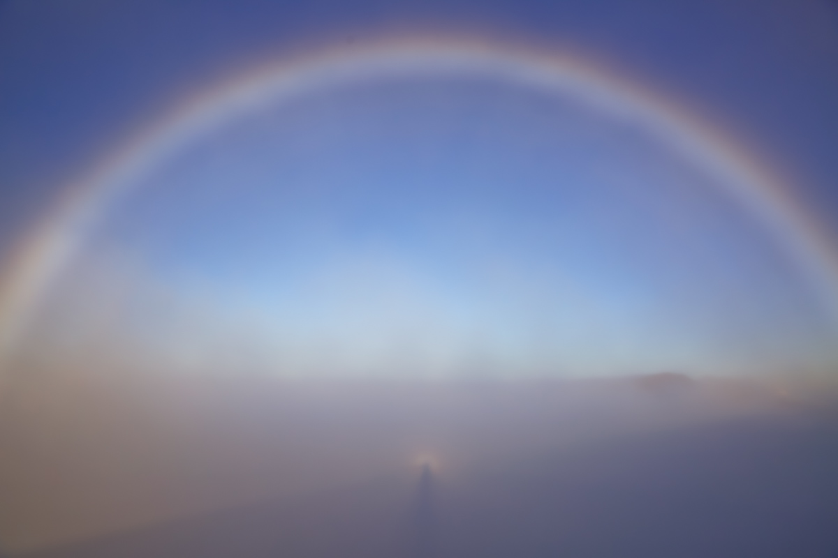 WALK IN BEAUTY – ThingFinder